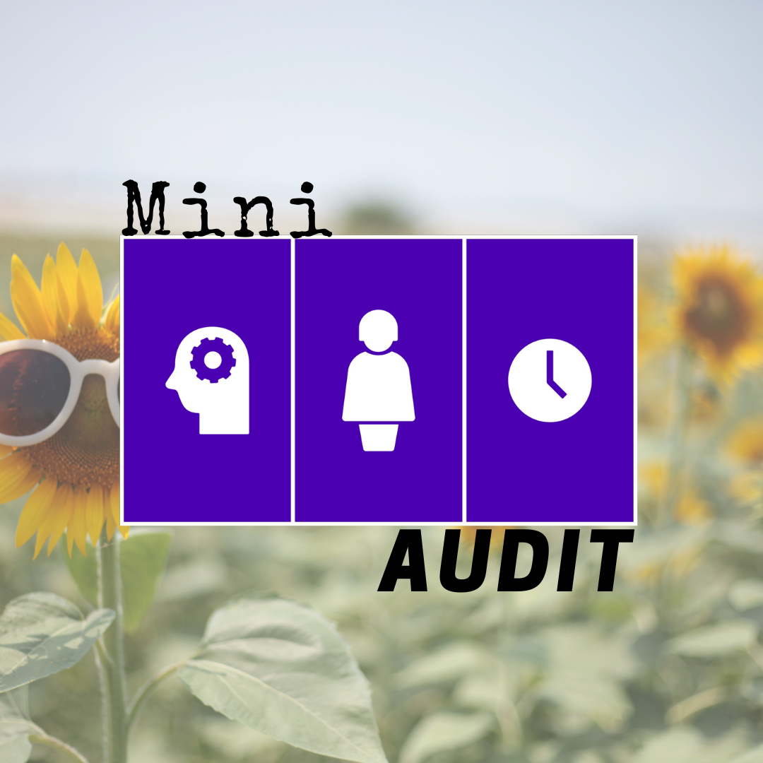 Mini-Audit - Human Upgrade