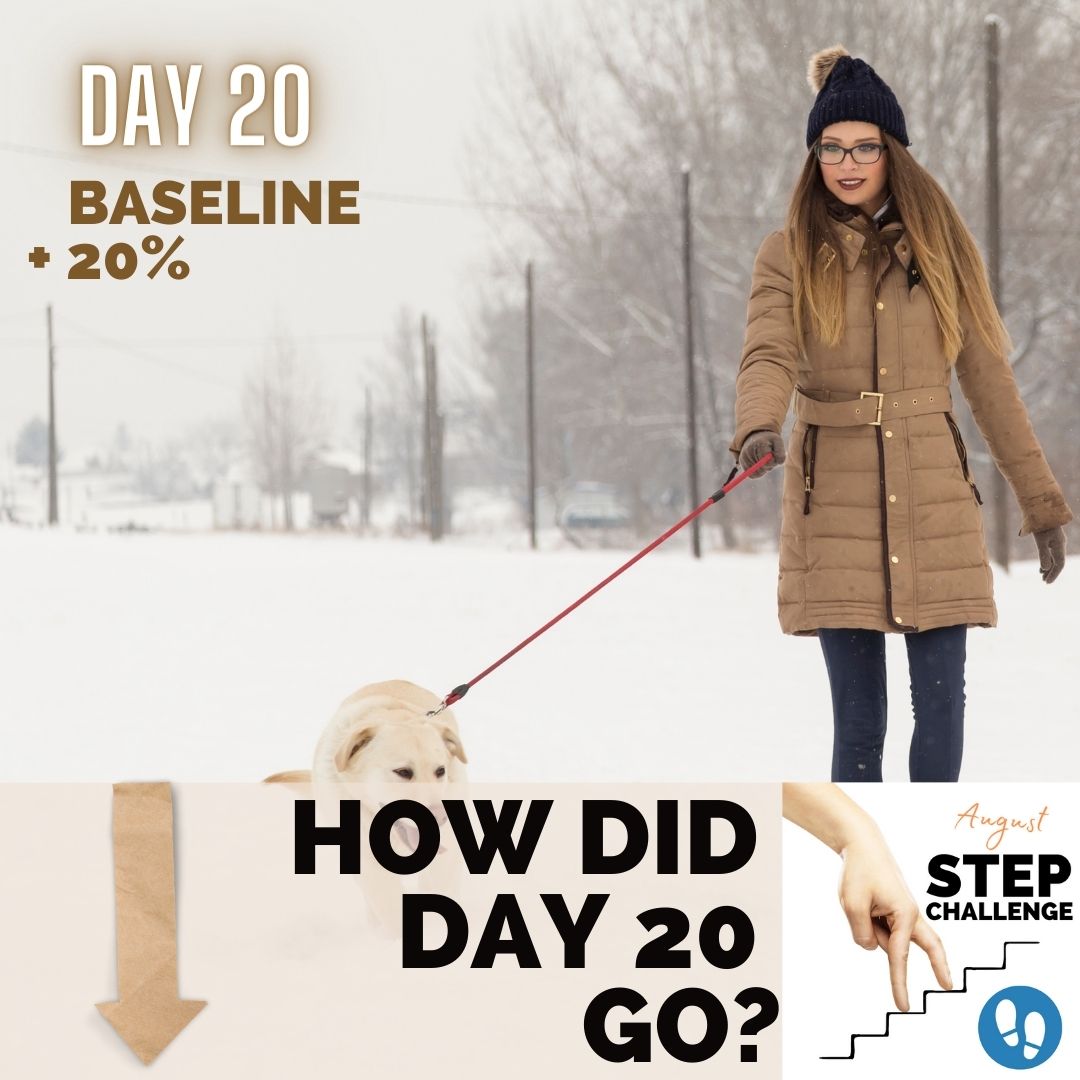 Day 20 Winter Step Challenge - Human Upgrade