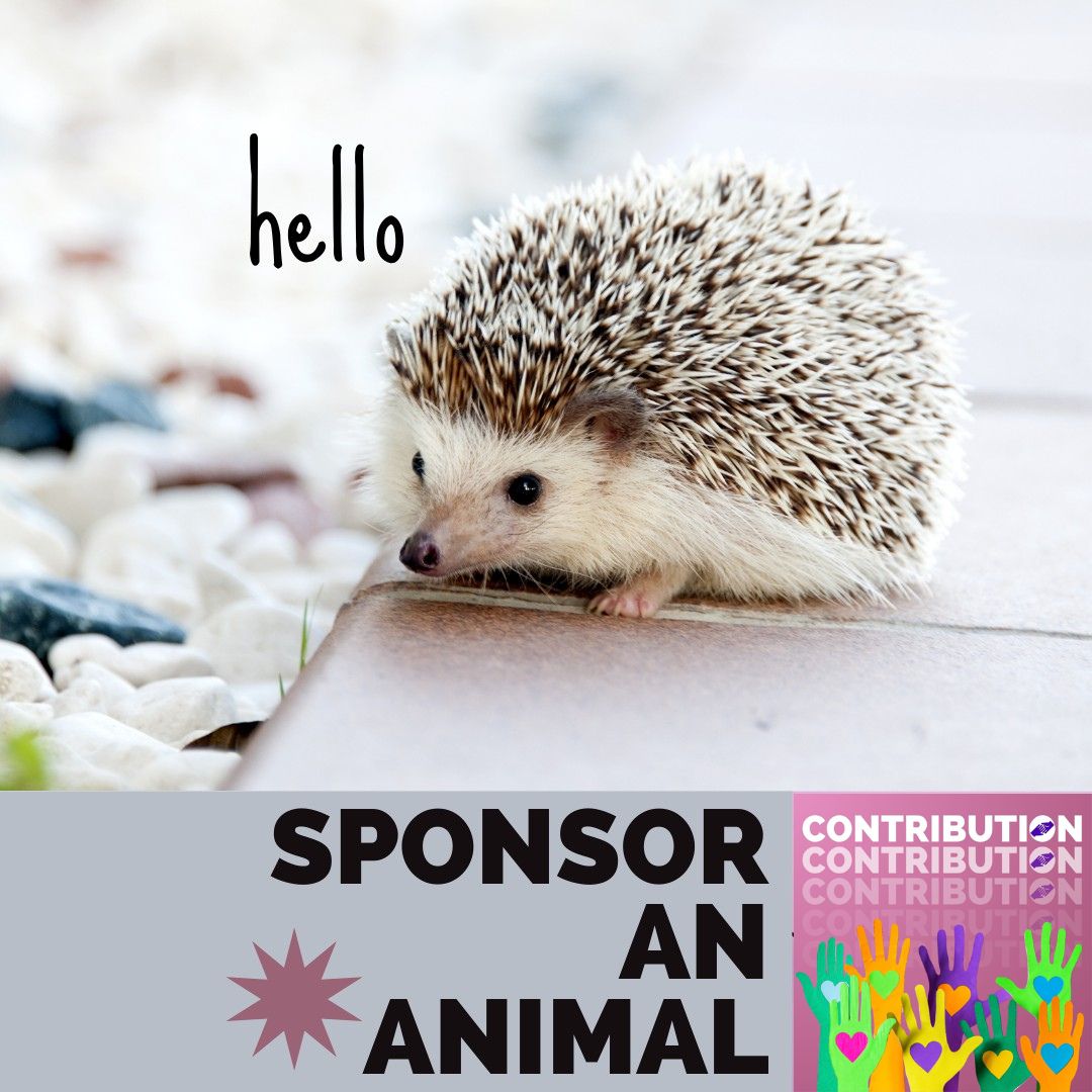 Sponsor an Animal - Human Upgrade