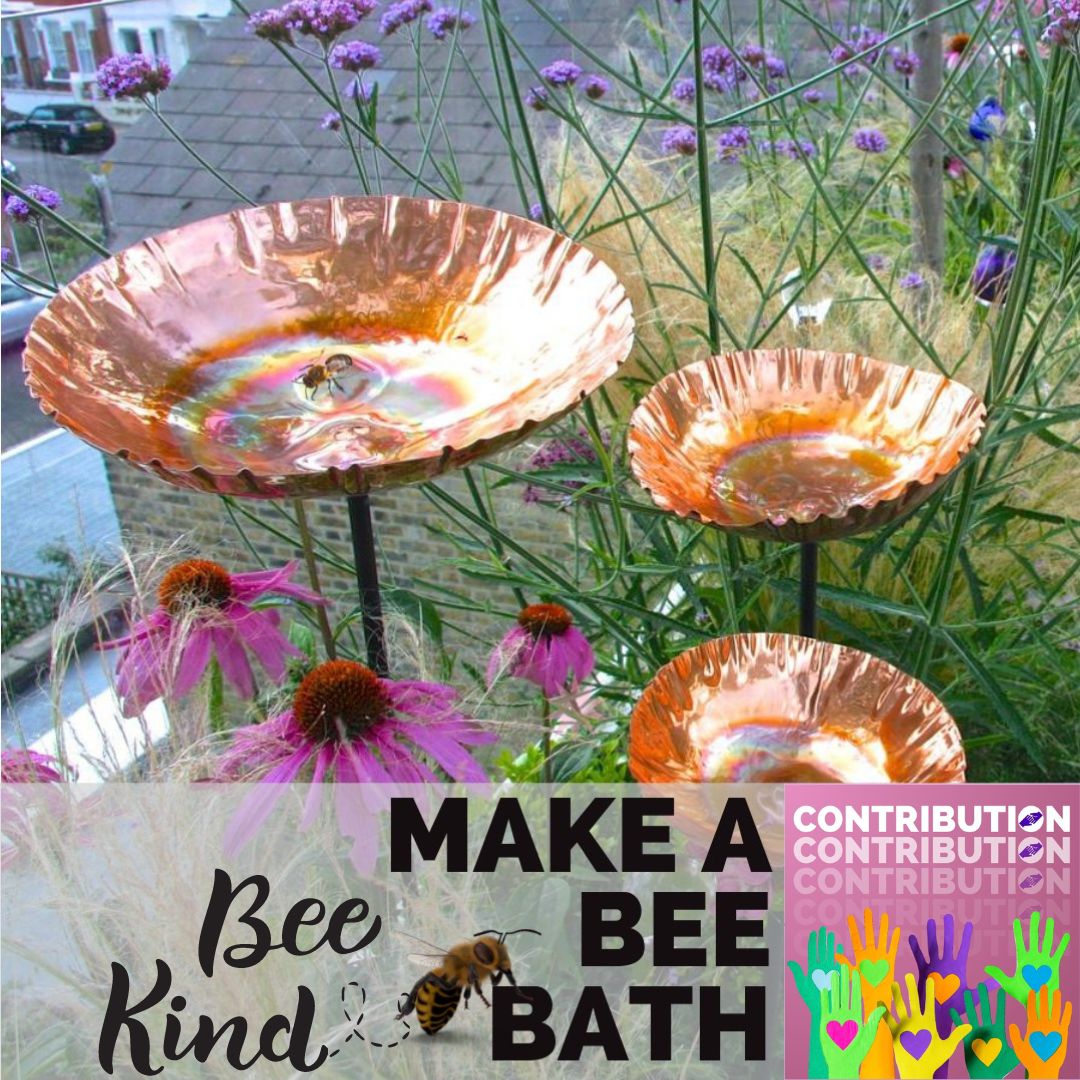 Give a Bee a Bath - Human Upgrade