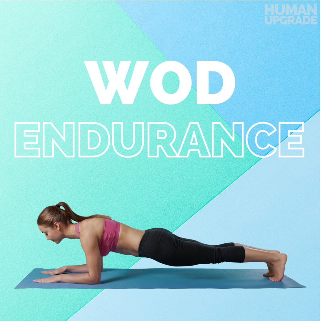 Q4 Week 2 Day 4 - Human Upgrade