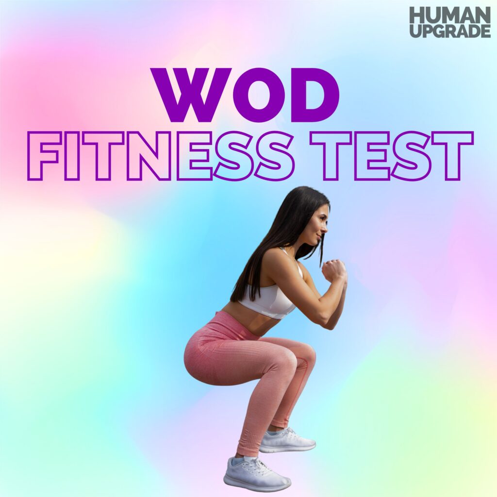 Q4 Day 1 - Human Upgrade