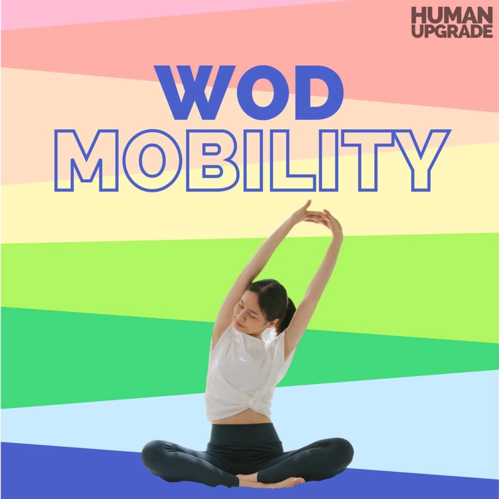 Q4 Week 10 Day 2 - Human Upgrade